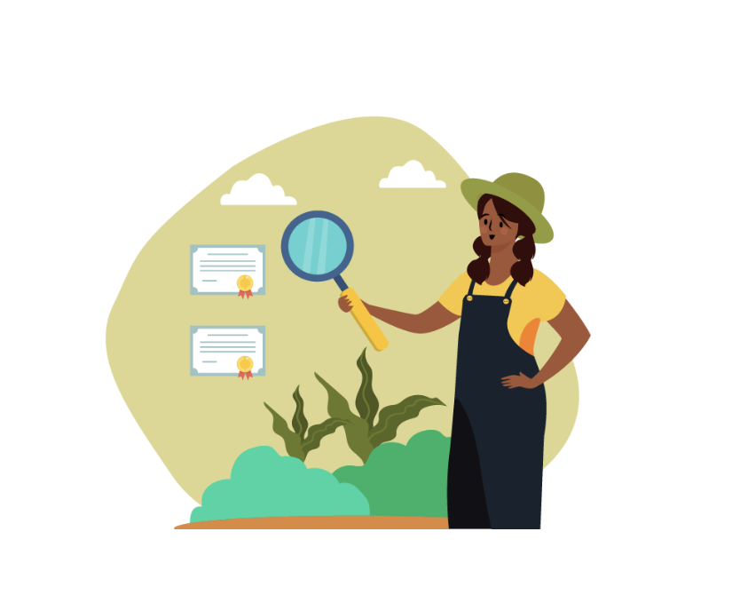 Life Cycle Assessment Summary