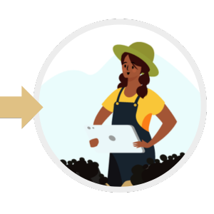 Life Cycle Assessment Summary