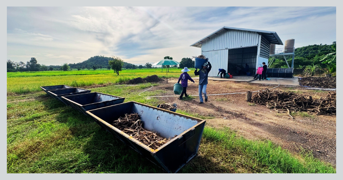 Turning Cassava Waste into Climate Opportunity: Lessons from Our Work ...